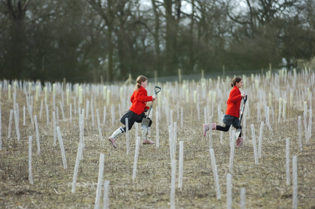 Tree Planting Funds | The Andersons Centre